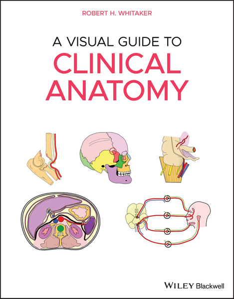 A Visual Guide to Clinical Anatomy – DC eBOOKS
