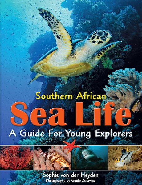 Southern African Sea Life – A Guide for Young Explorers – DC eBOOKS